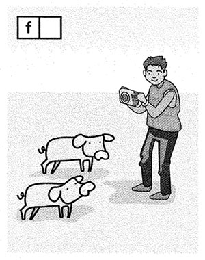 English Listening Exercises for A1 - Animal - ESL Tasks